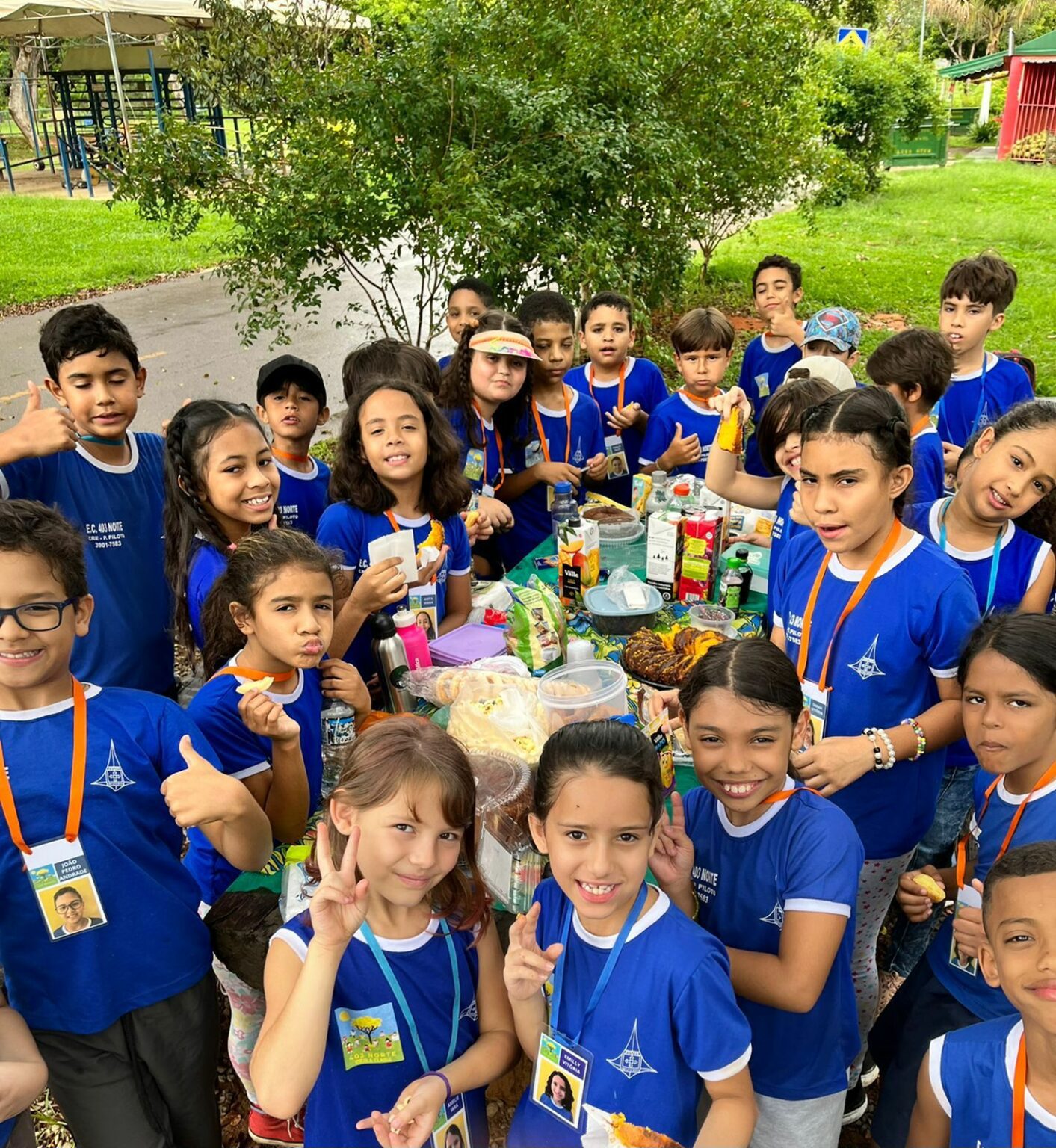 Educação Ambiental no DF: Brasília Ambiental Capta R$ 1 Milhão para ...